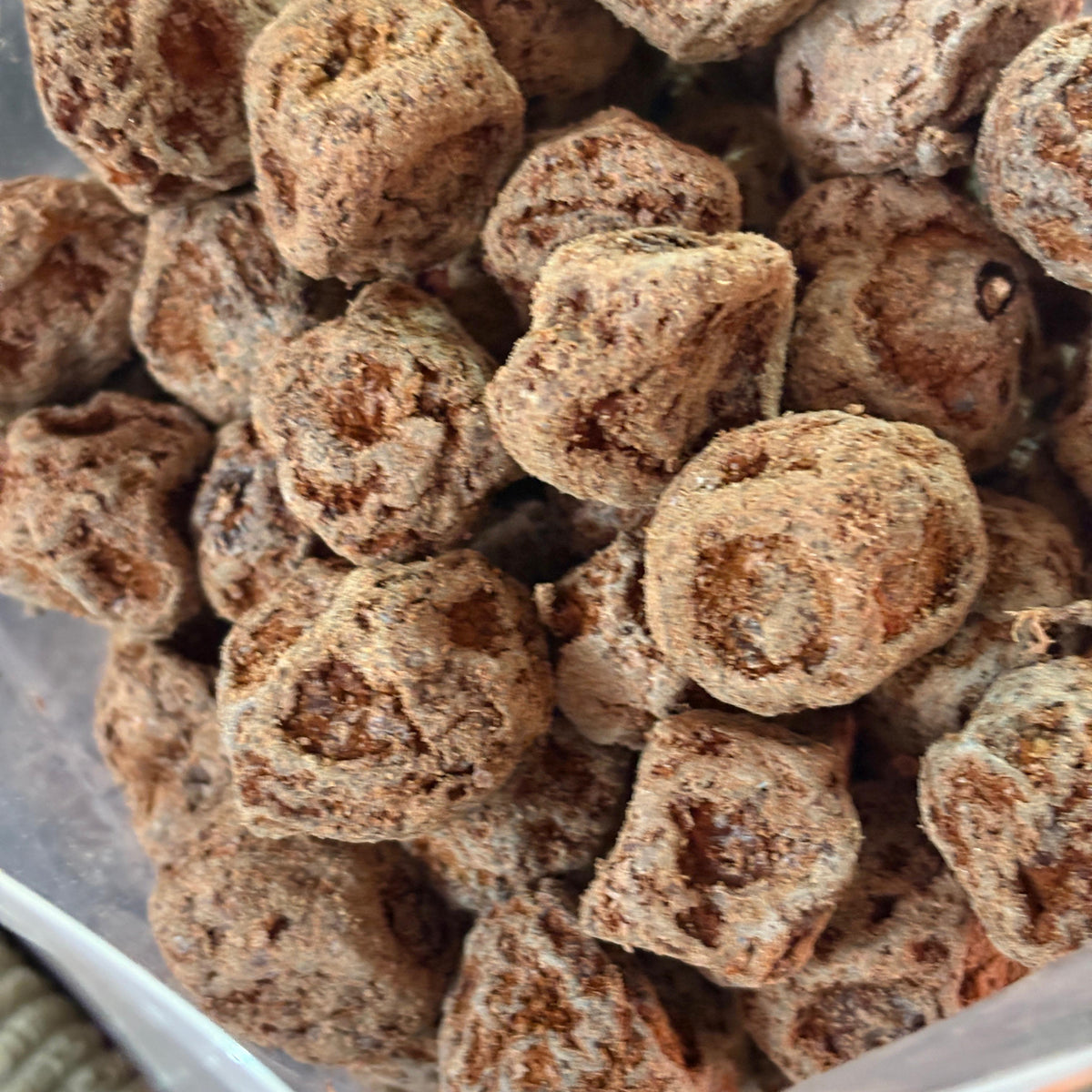 Khattu Hog Plum | Salty and Sour – Himalimart